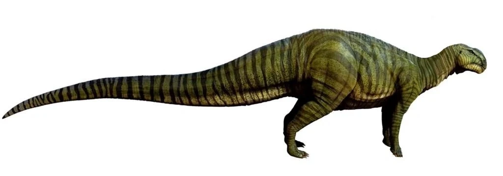 Tenontosaurus (SciiFii) | Idea Wiki | Fandom