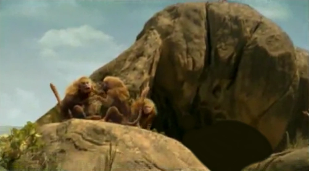 Babookari (SciiFii) | Idea Wiki | Fandom