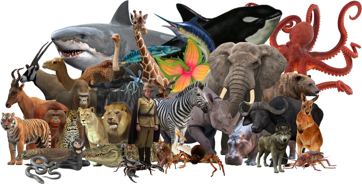 Van Pelt's animal army | Idea Wiki | Fandom