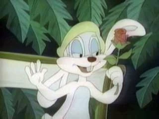 Viv the Rabbit | Idea Wiki | Fandom