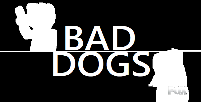 Bad Dog (2011 Show) | Idea Wiki | Fandom