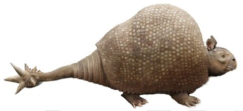 Doedicurus (SciiFii) | Idea Wiki | Fandom