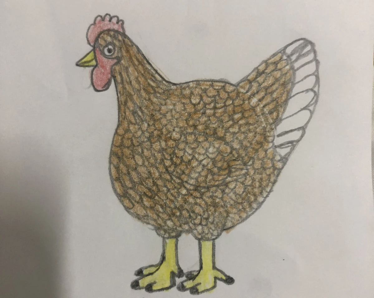 Rollin' Wild - 'Chicken ' - what if animals were round? | Idea Wiki ...