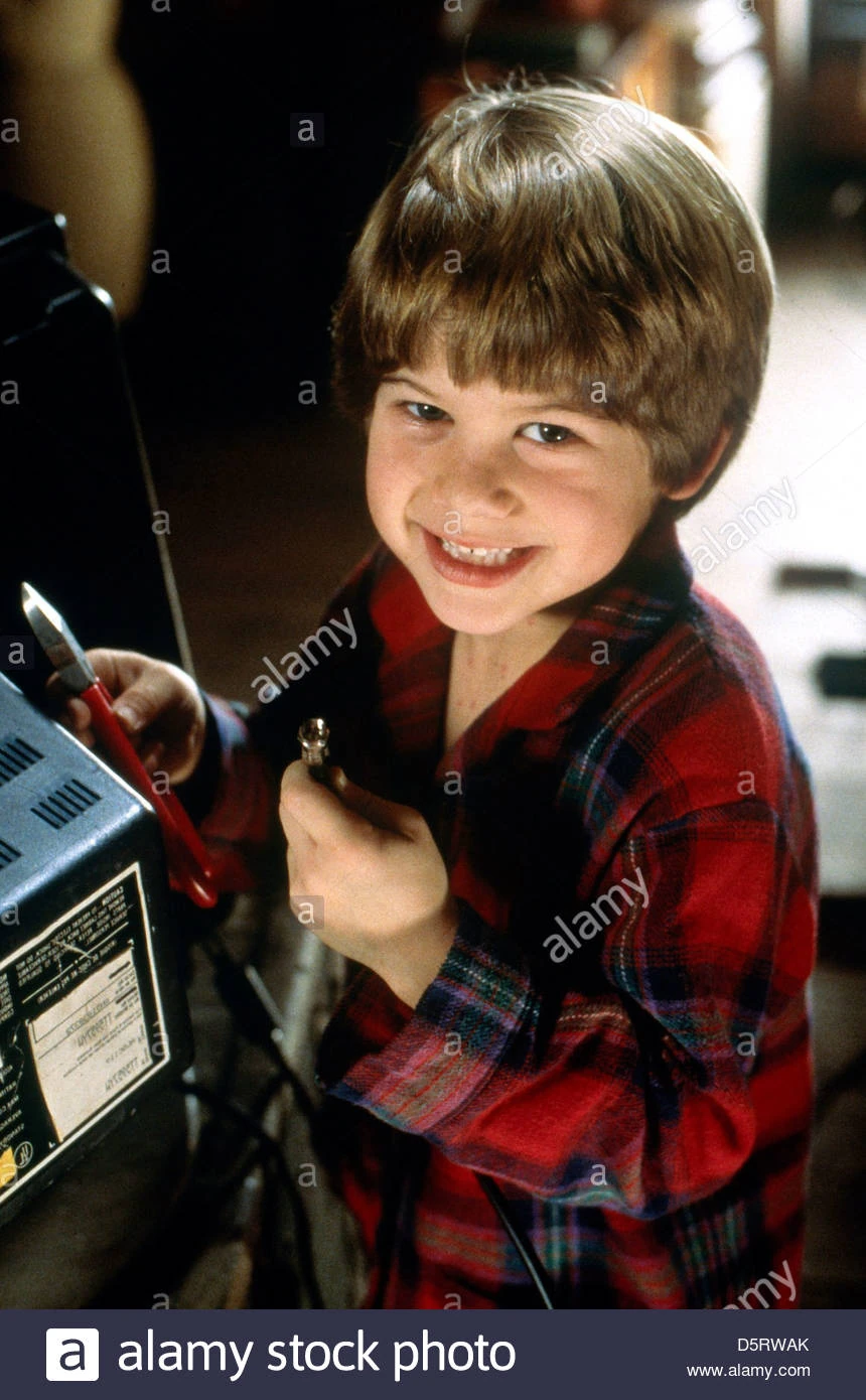 Alex D Linz Home Alone