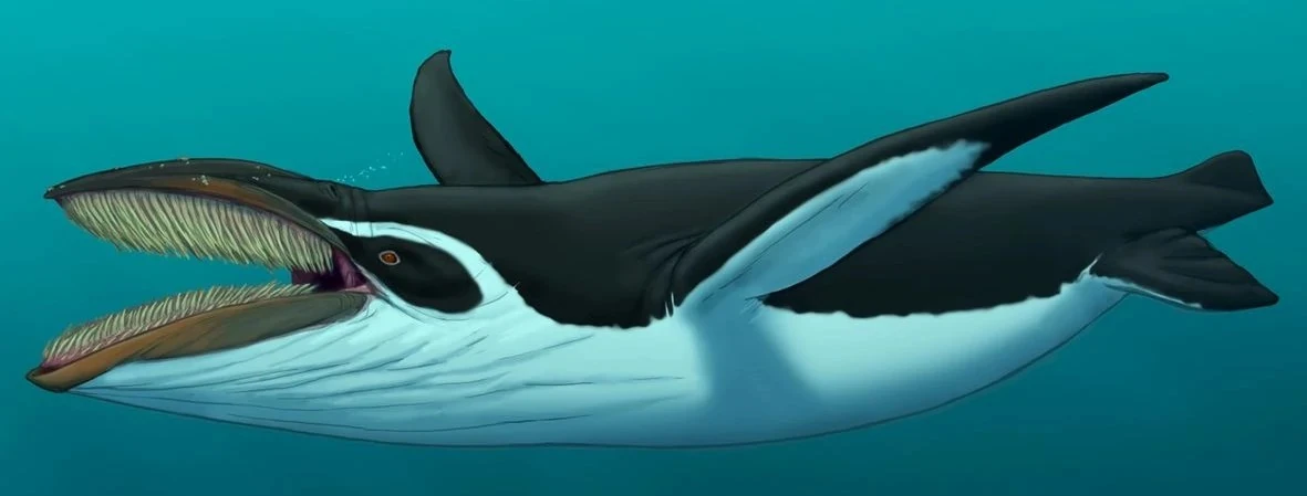 Vortex (SciiFii) | Idea Wiki | Fandom