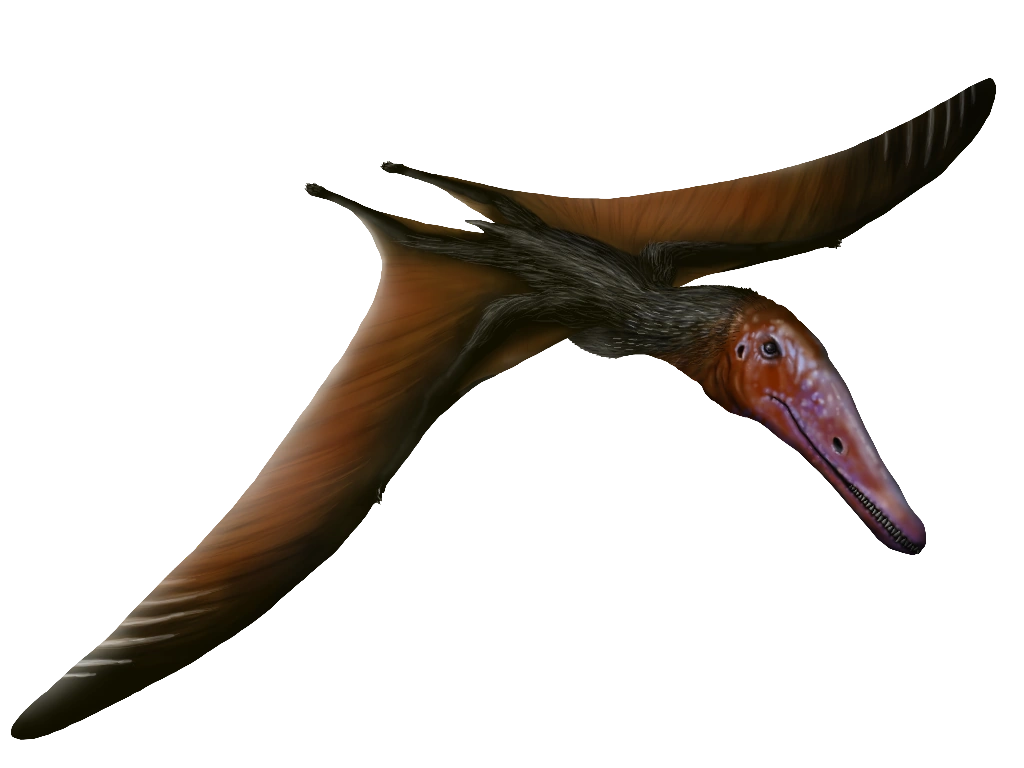 Longchengpterus (SciiFii) | Idea Wiki | Fandom