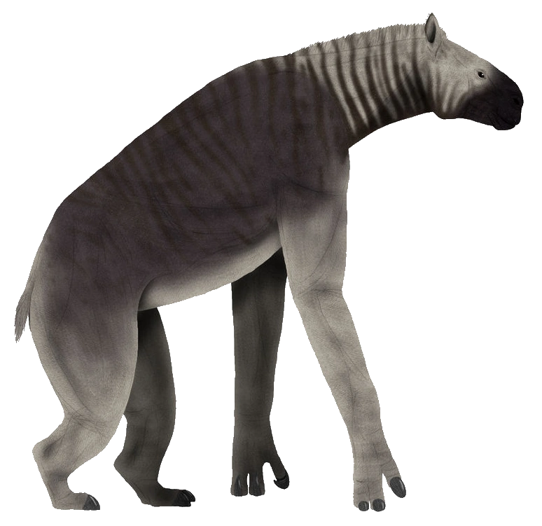 Mountain chalico (SciiFii) | Idea Wiki | Fandom