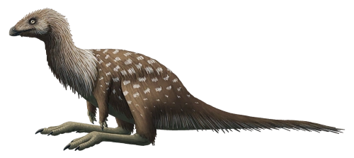 Effigia (SciiFii) | Idea Wiki | Fandom