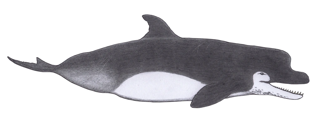 Zygophyseter (SciiFii) | Idea Wiki | Fandom