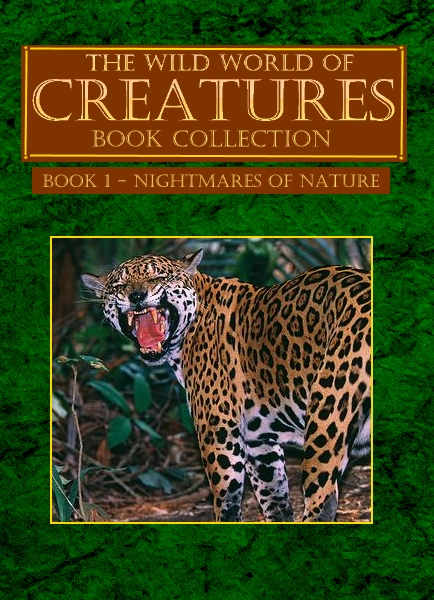 The Wild World of Creatures Book Collection | Idea Wiki | Fandom