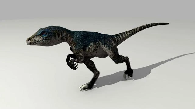Raptor/Gallery | Idea Wiki | Fandom