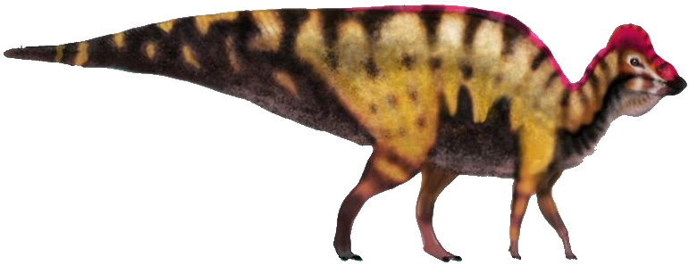 Hypacrosaurus