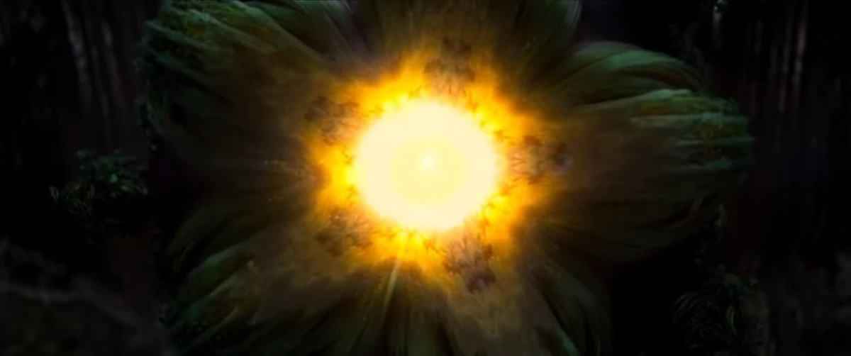 Oracle | Idea Wiki | Fandom