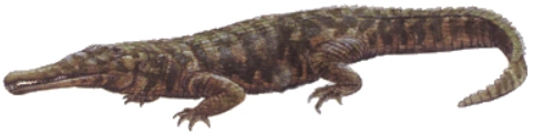 Rutiodon (SciiFii) | Idea Wiki | Fandom