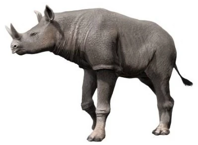 Menoceras (SciiFii) | Idea Wiki | Fandom