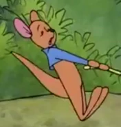 Roo | Idea Wiki | Fandom