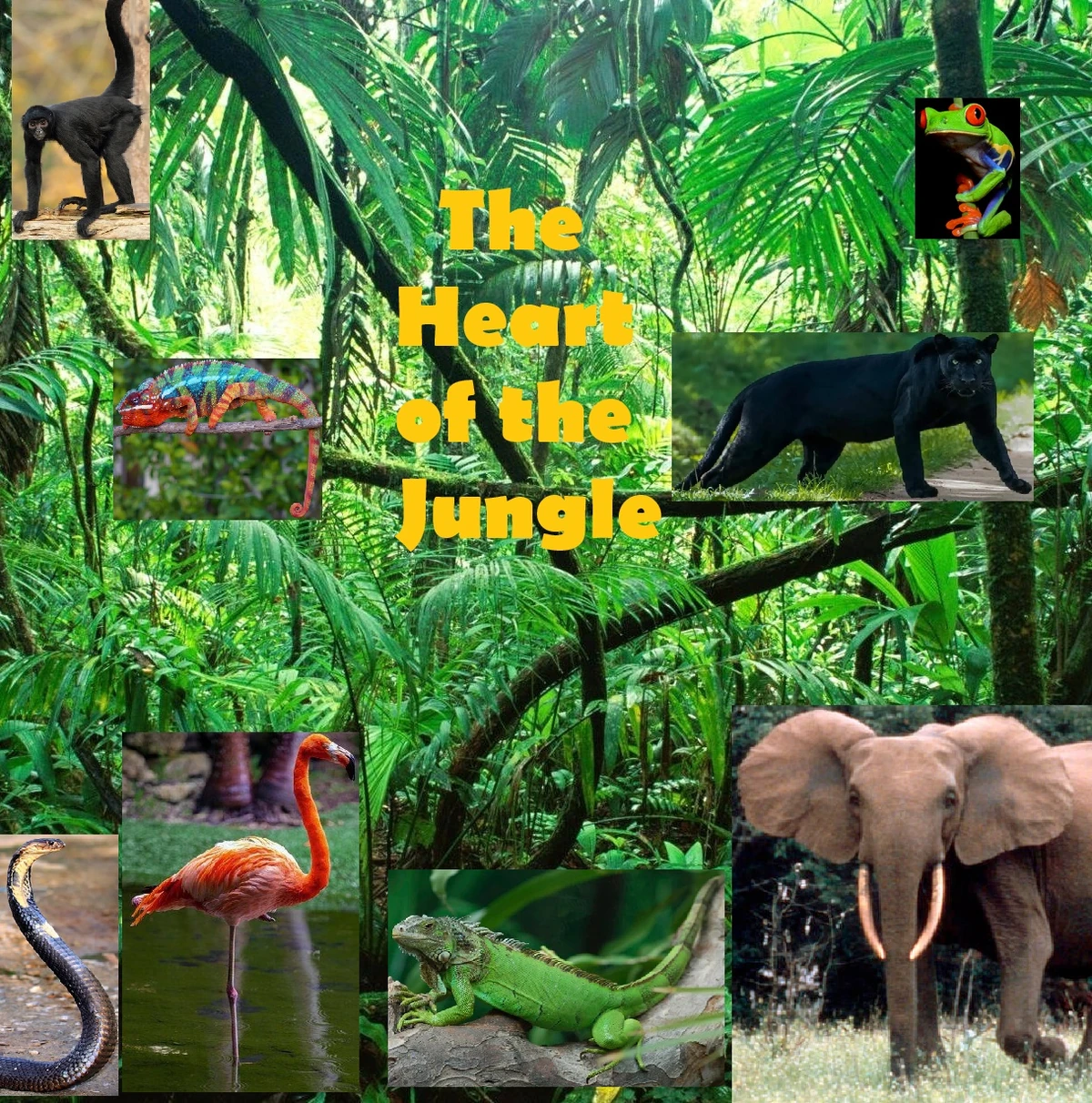The Heart of the Jungle | Idea Wiki | Fandom