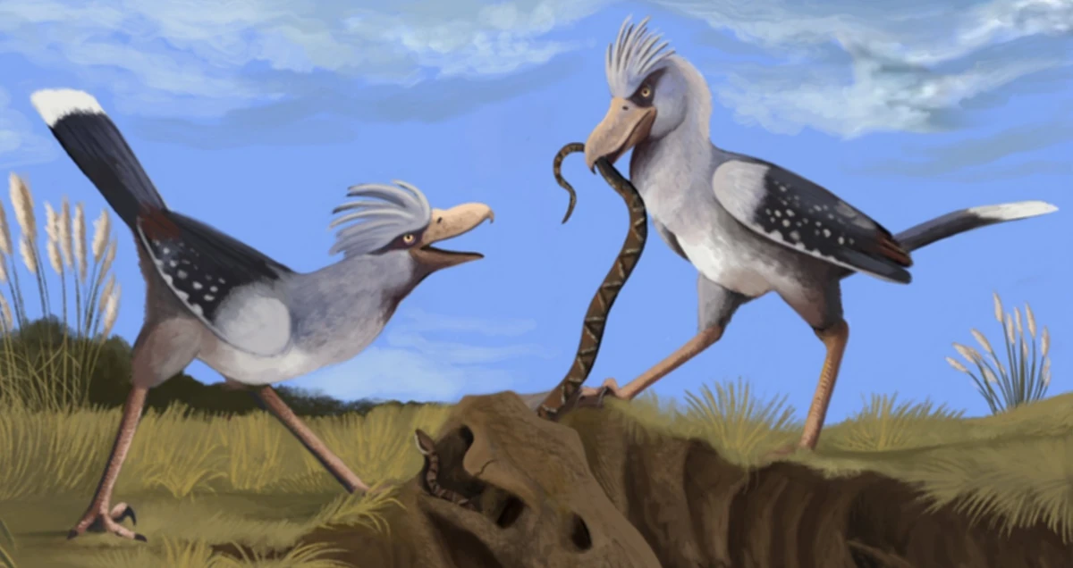 Psilopterus (SciiFii) | Idea Wiki | Fandom