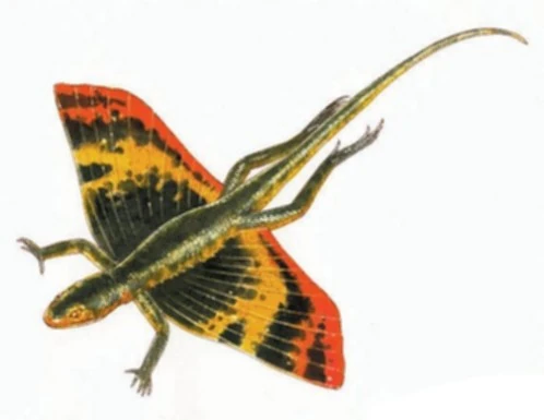 Xianglong (SciiFii) | Idea Wiki | Fandom