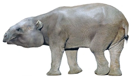 Barytherium (SciiFii) | Idea Wiki | Fandom