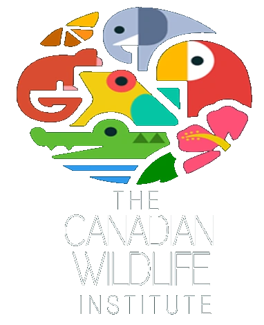The Canadian Wildlife Institute | Idea Wiki | Fandom