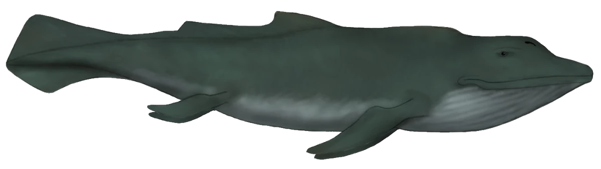 Whulk (SciiFii) | Idea Wiki | Fandom