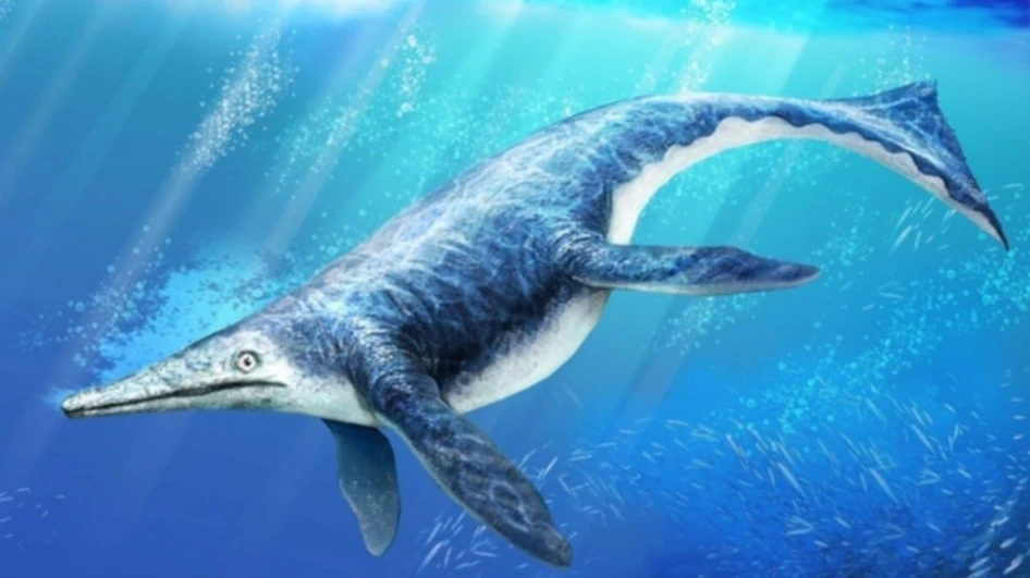 Shastasaurus (SciiFii) | Idea Wiki | Fandom