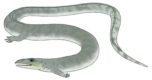 Pleurosaurus (SciiFii) | Idea Wiki | Fandom