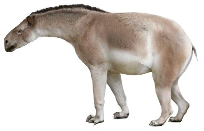 Moropus (SciiFii) | Idea Wiki | Fandom