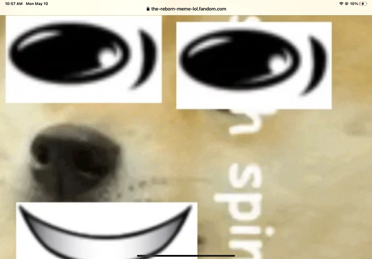 Winning doge | Idk XD lol Wiki | Fandom