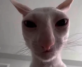 Freaky James | Idkcatmemes Wiki | Fandom