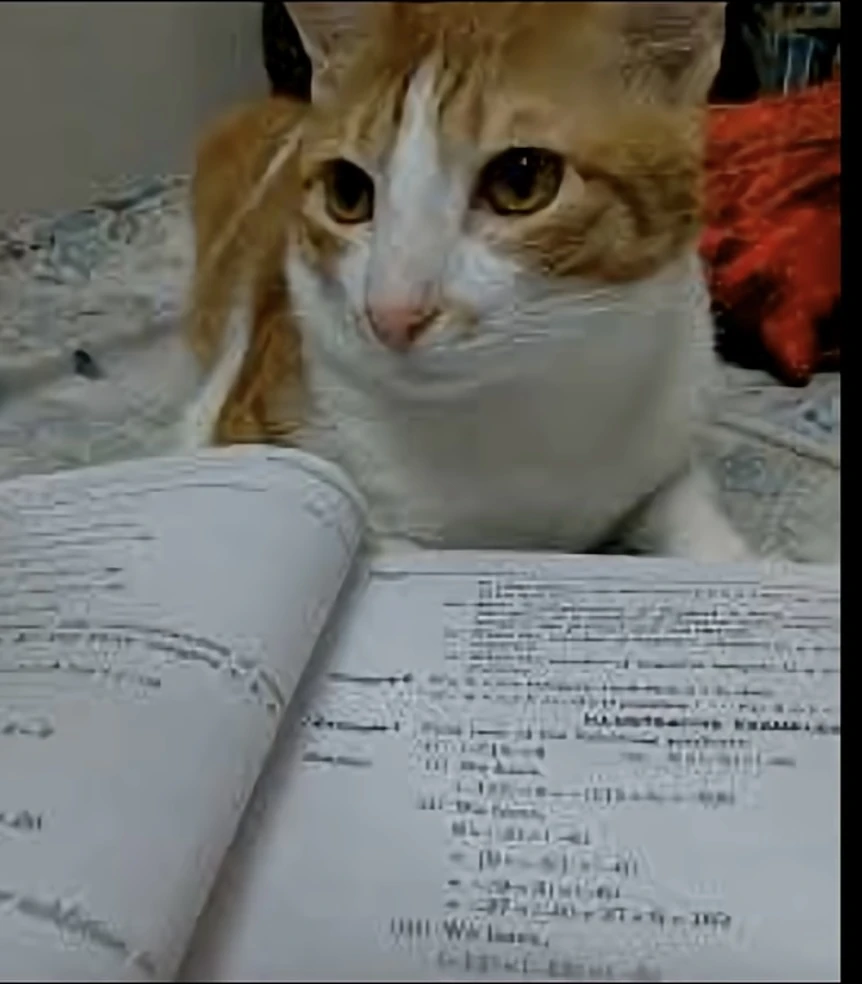 Teacher creature | Idkcatmemes Wiki | Fandom