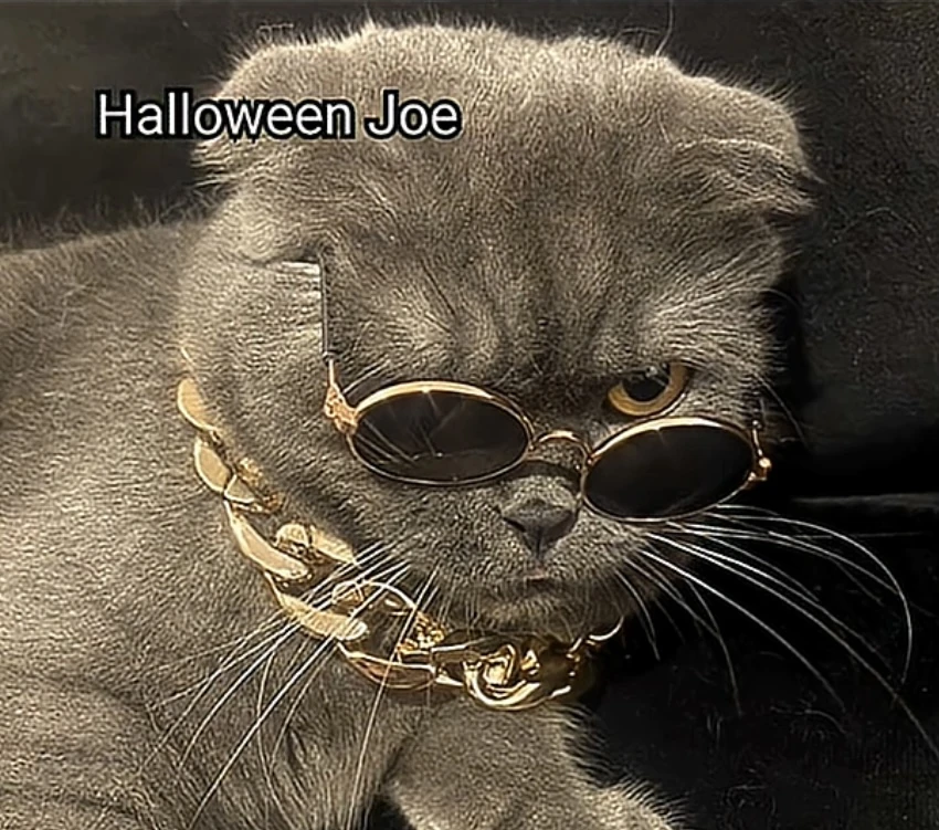 Halloween joe | Idkcatmemes Wiki | Fandom