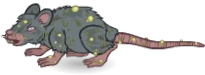 Cursed Rat - Idle Champions of the Forgotten Realms Wiki