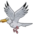 Sea Gull - Idle Champions of the Forgotten Realms Wiki