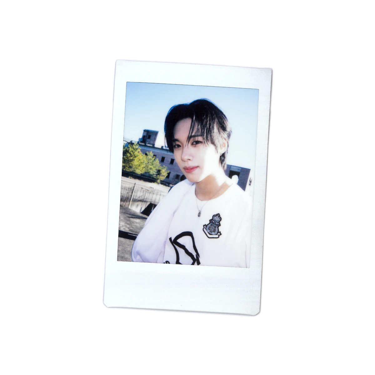 Category:Member Polaroids Galleries | Idntt Wiki | Fandom