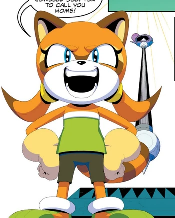 Marine the Raccoon | Wiki Sonic IDW News | Fandom