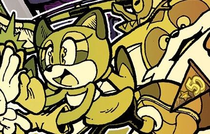 Marine the Raccoon | IDW Sonic Hub | Fandom