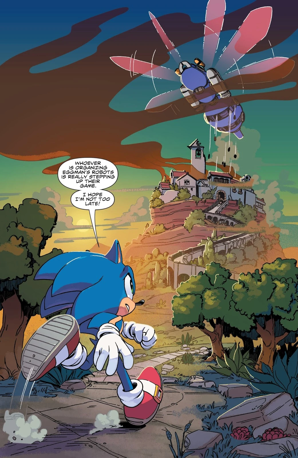 Spiral Hill Village | IDW Sonic Hub | Fandom