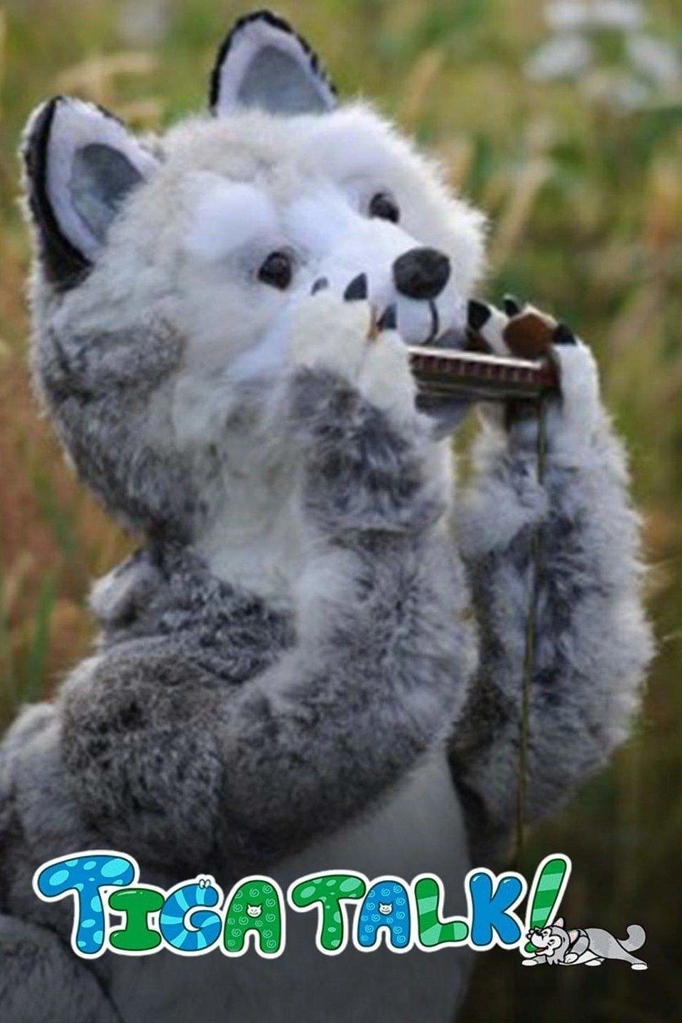 Tiga Talk | The Fandub Database | Fandom