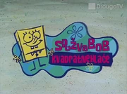 SpongeBob SquarePants | The Fandub Database | Fandom