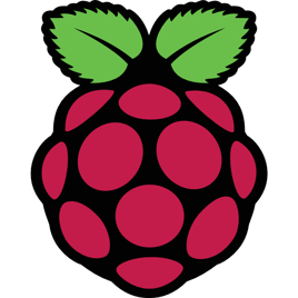 Raspberry Pi (Poland) | The Fandub Database | Fandom