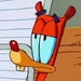 Squirrel Boy | The Fandub Database | Fandom