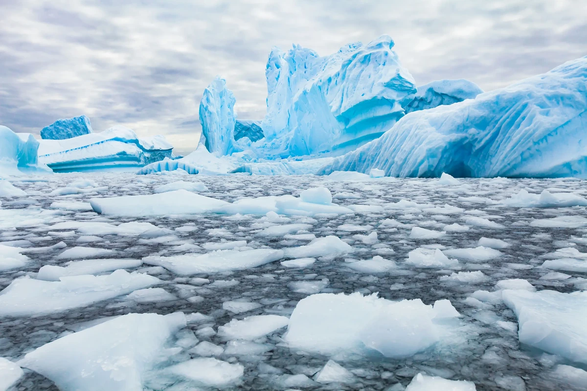 The ice is melting! | The Fandub Database | Fandom