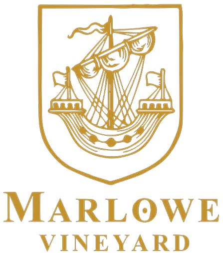 Marlowe Vineyard | Ignite Wiki | Fandom