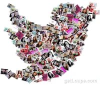 Cupquake | Cupquake Wiki | Fandom