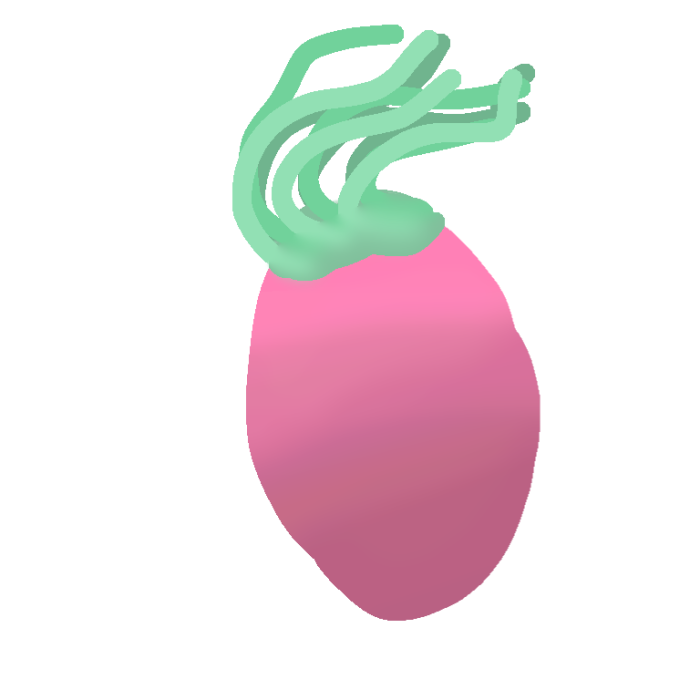 Flowberry | Ikleos lore Wiki | Fandom