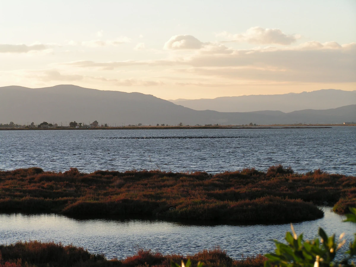 La Tancada | Ilercavònia | Fandom