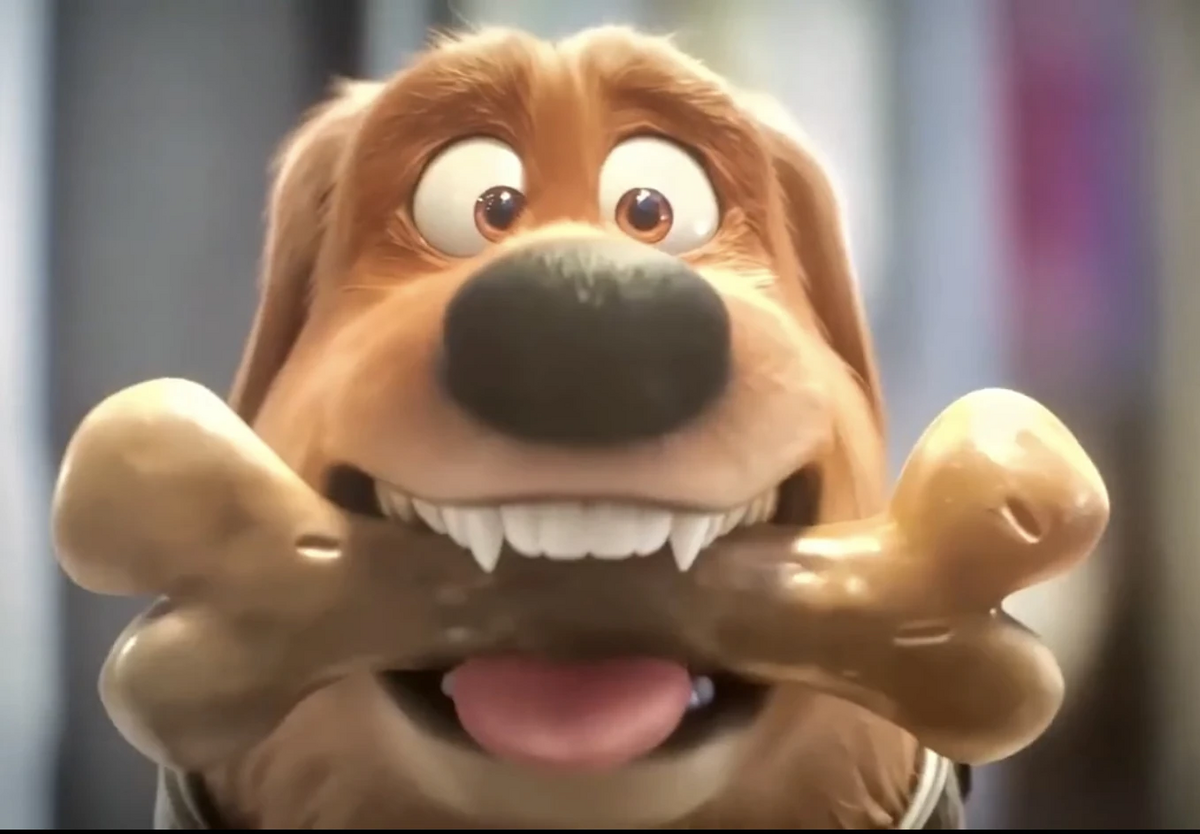 Francis | Illumination Wiki | Fandom