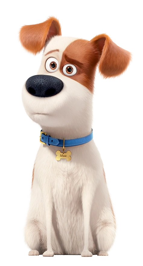 Max | Illumination Entertainment Wikia | Fandom